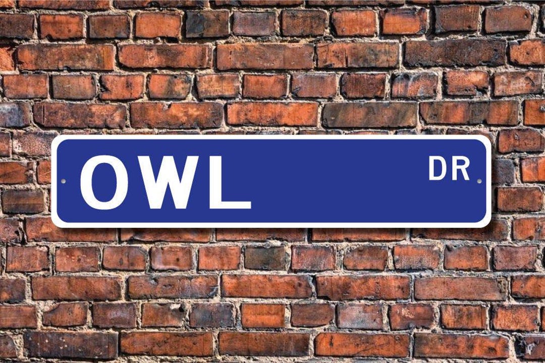 Owl, Owl Gift, Owl Sign, Owl Decor, Owl Lover, Solitary and Nocturnal ...