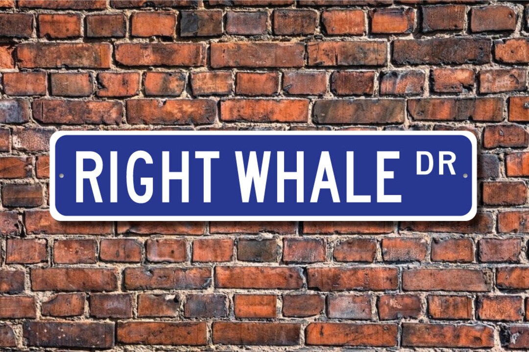 Right Whale, Right Whale Gift, Right Whale Sign, Right Whale Decor ...