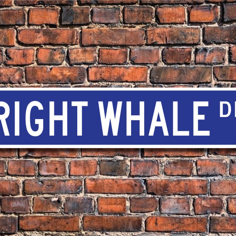 Whale Sign - Etsy