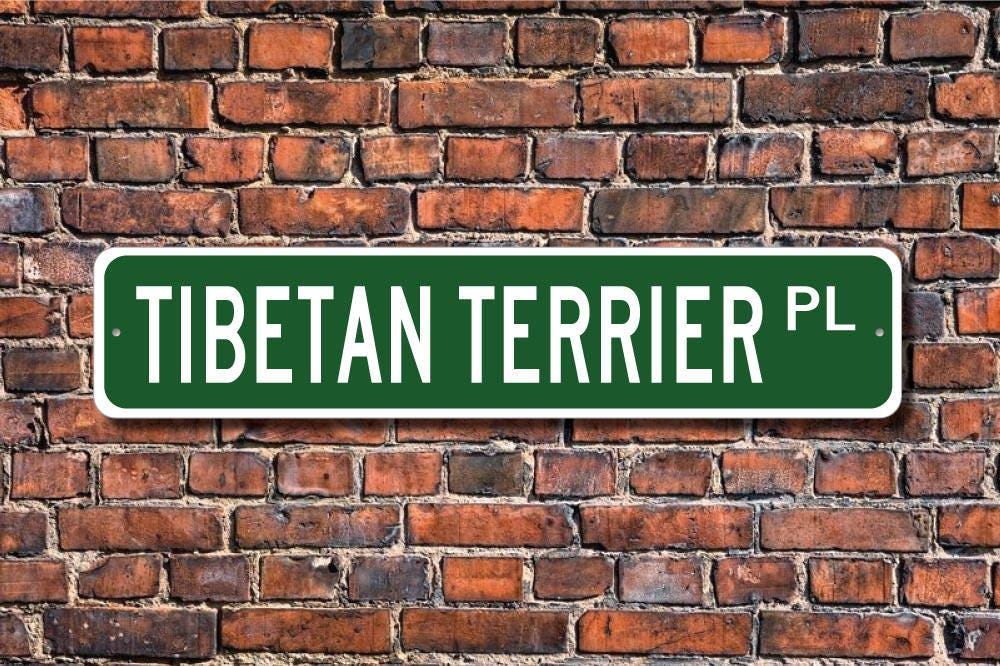 Tibetan Terrier, Tibetan Terrier Sign, Tibetan Terrier Lover, Custom ...