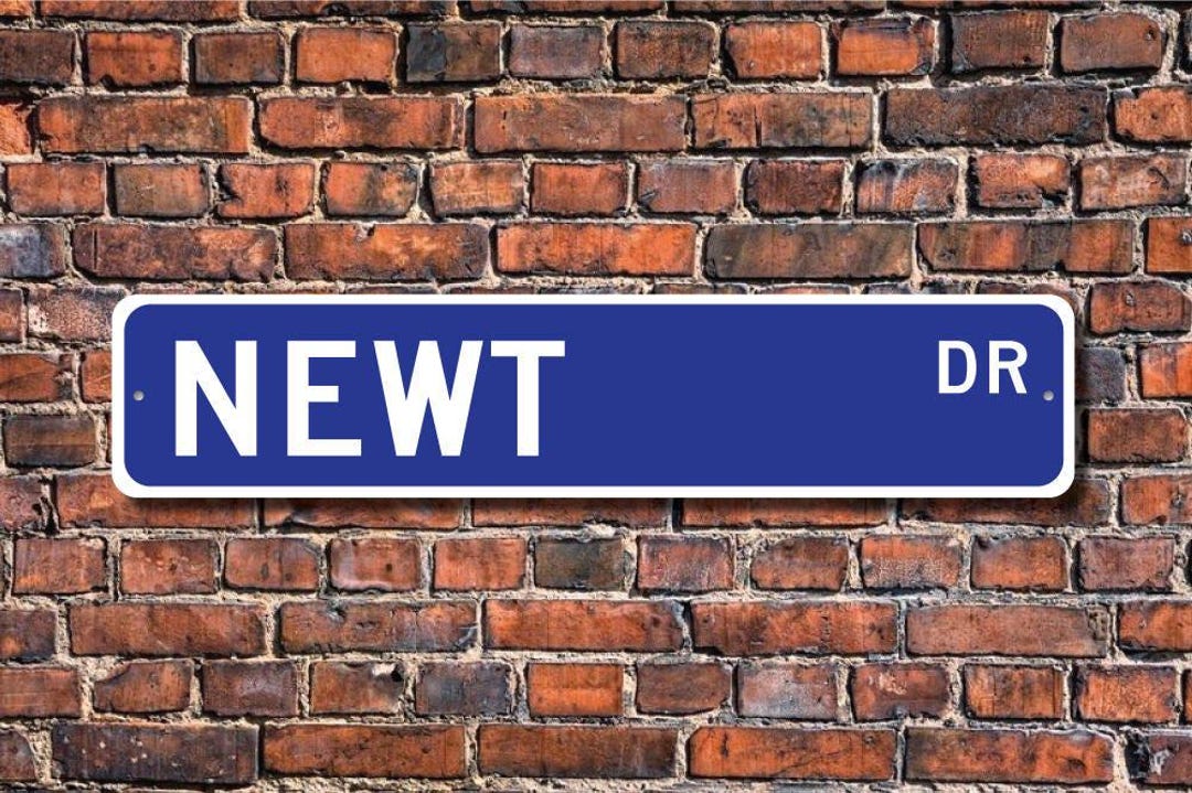 Newt, Newt Gift, Newt Sign, Newt Decor, Newt Lover, Salamander Family ...