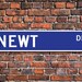 Newt, Newt Gift, Newt Sign, Newt Decor, Newt Lover, Salamander Family ...