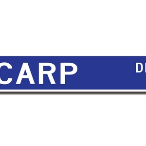 Carp, Carp Gift, Carp Sign, Carp Decor, Carp Expert, Carp Study, Fish ...