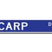 Carp Carp Gift Carp Sign Carp Decor Carp Expert Carp - Etsy