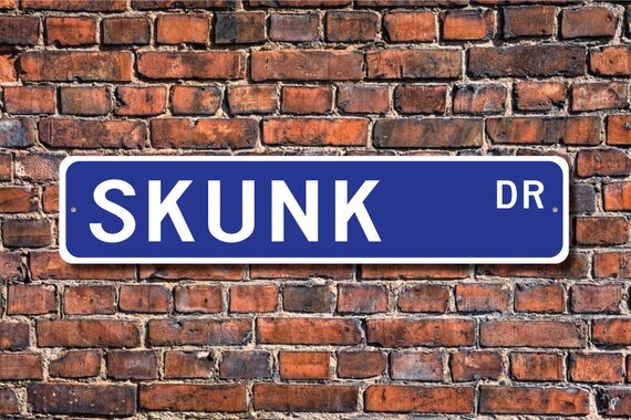 Skunk Skunk Gift Skunk Sign Skunk Decor Skunk Lover Black - Etsy