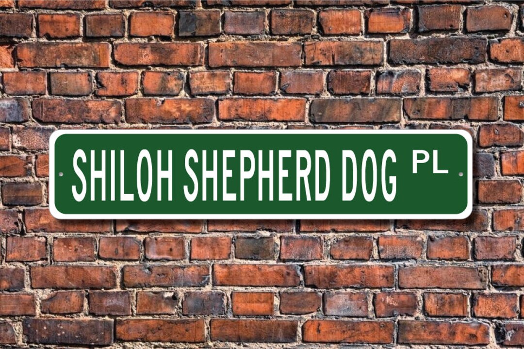 Shiloh Shepherd Dog, Shiloh Shepherd Dog Sign, Shiloh Shepherd Dog ...