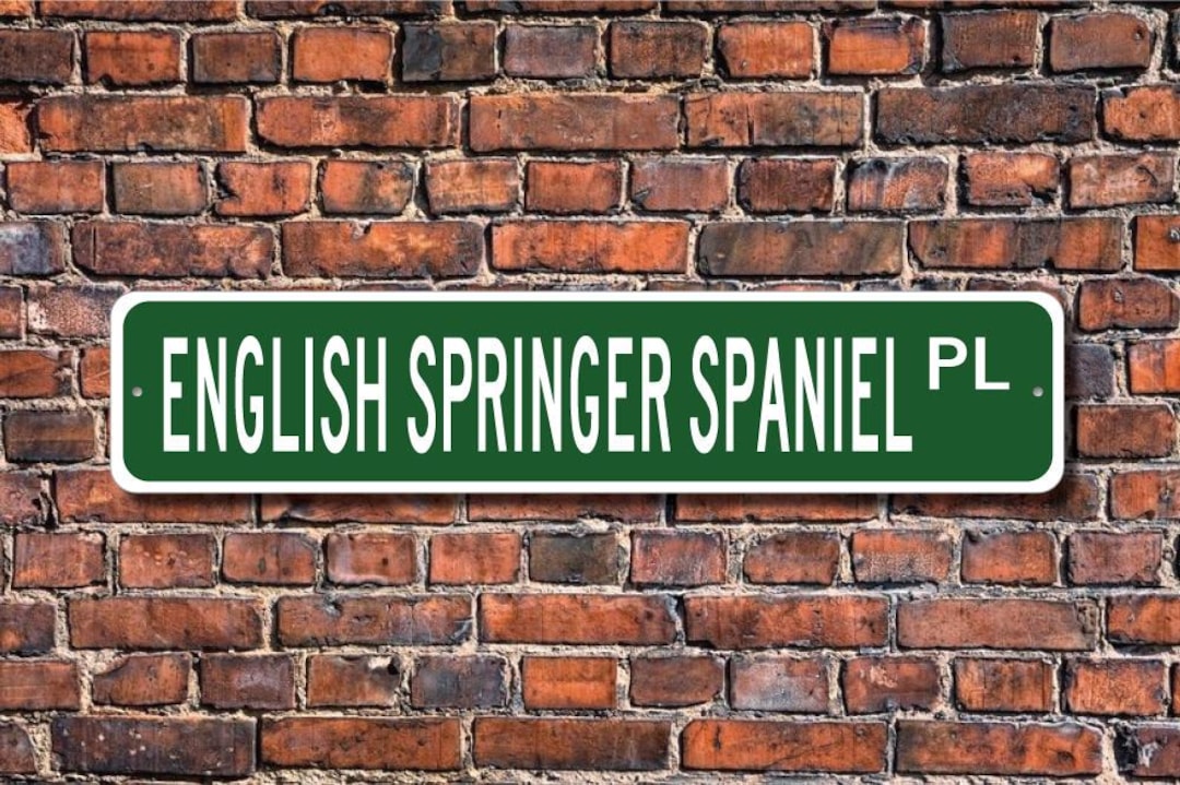 English Springer Spaniel, English Springer Spaniel Lover, English ...
