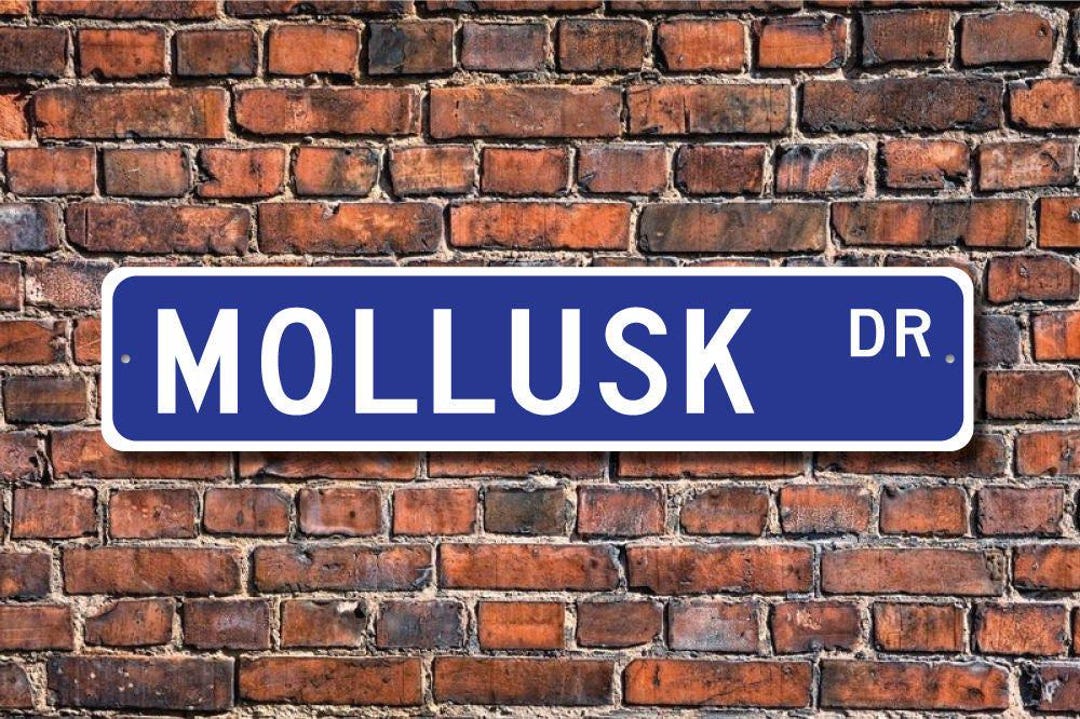Mollusk, Mollusk Gift, Mollusk Sign, Mollusk Decor, Mollusk Lover ...