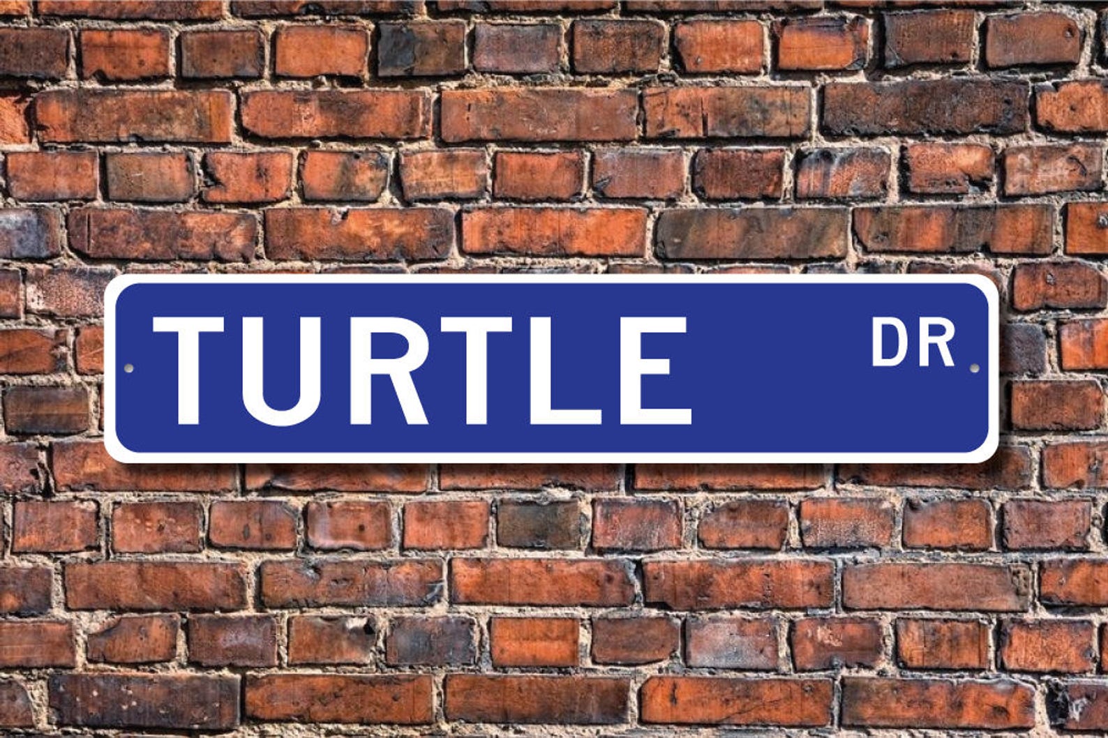 Turtle Turtle Gift Turtle Sign Turtle Decor Turtle Lover | Etsy