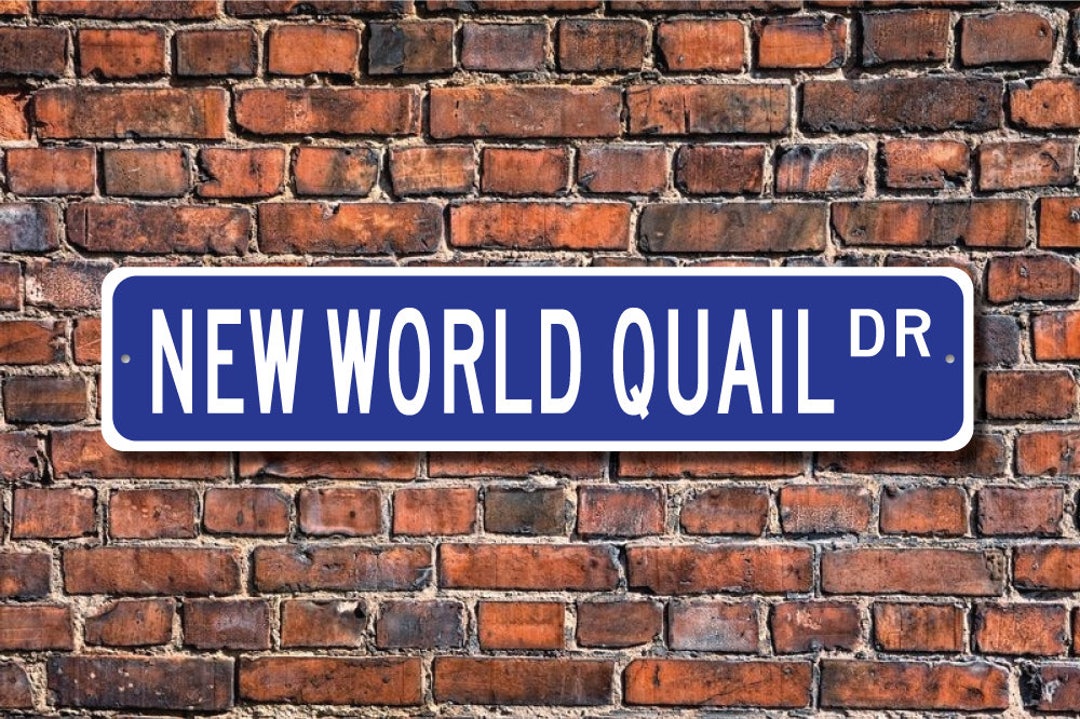 New World Quail New World Quail Gift New World Quail Sign - Etsy