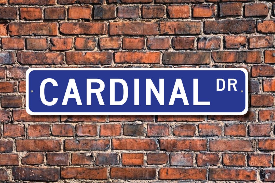 Cardinal, Cardinal Gift, Cardinal Sign, Cardinal Decor, Cardinal Expert ...