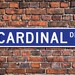 Cardinal, Cardinal Gift, Cardinal Sign, Cardinal Decor, Cardinal Expert ...