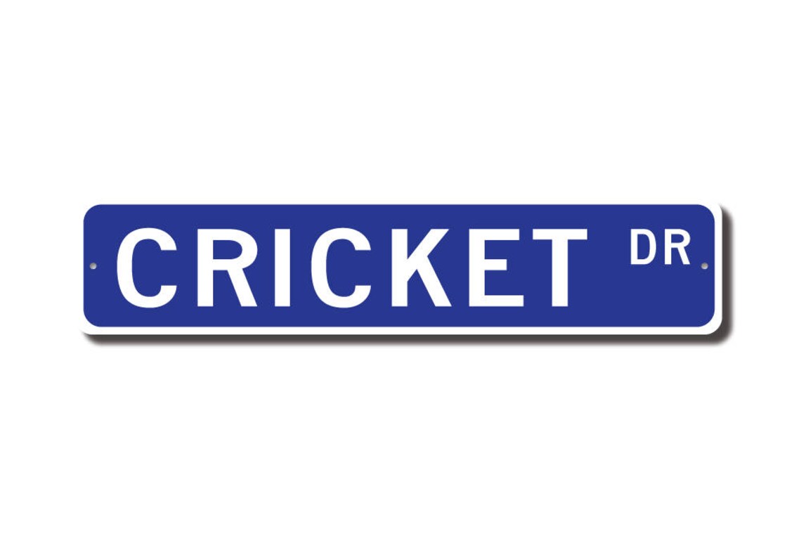 Cricket Cricket Gift Cricket Sign Cricket Decor Cricket - Etsy