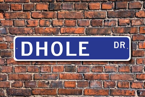 Dhole Dhole Gift Dhole Sign Dhole Decor Dhole Expert Wild | Etsy