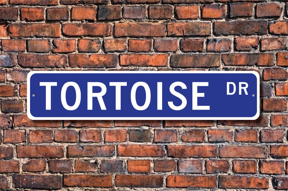 Tortoise Tortoise Gift Tortoise Sign Tortoise Decor | Etsy