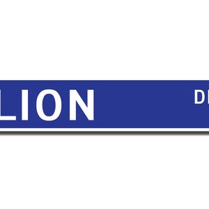 Lion Lion Gift Lion Sign Lion Decor Lion Lover Big Cat - Etsy