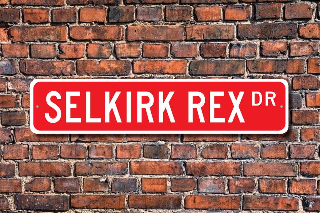 Selkirk Rex, Selkirk Rex Sign, Selkirk Rex Owner, Selkirk Rex Gift ...