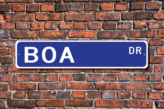 Boa Boa Gift Boa Sign Boa Decor Boa Expert Boa Lover | Etsy