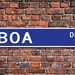 Boa, Boa Gift, Boa Sign, Boa Decor, Boa Expert, Boa Lover, Snake Expert ...