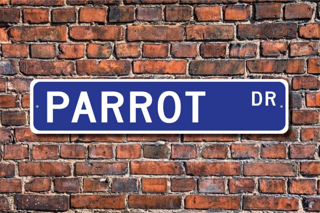 Parrot, Parrot Gift, Parrot Sign, Parrot Decor, Parrot Lover, Colorful ...