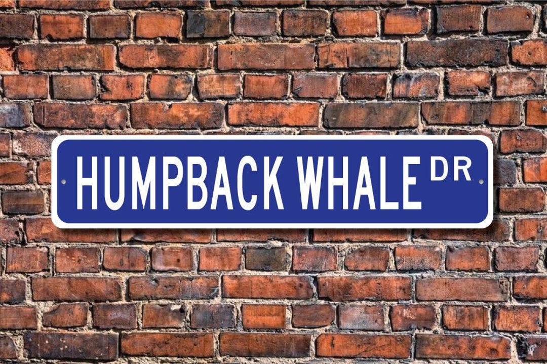 Humpback Whale, Humpback Whale Gift, Humpback Whale Sign, Humpback ...