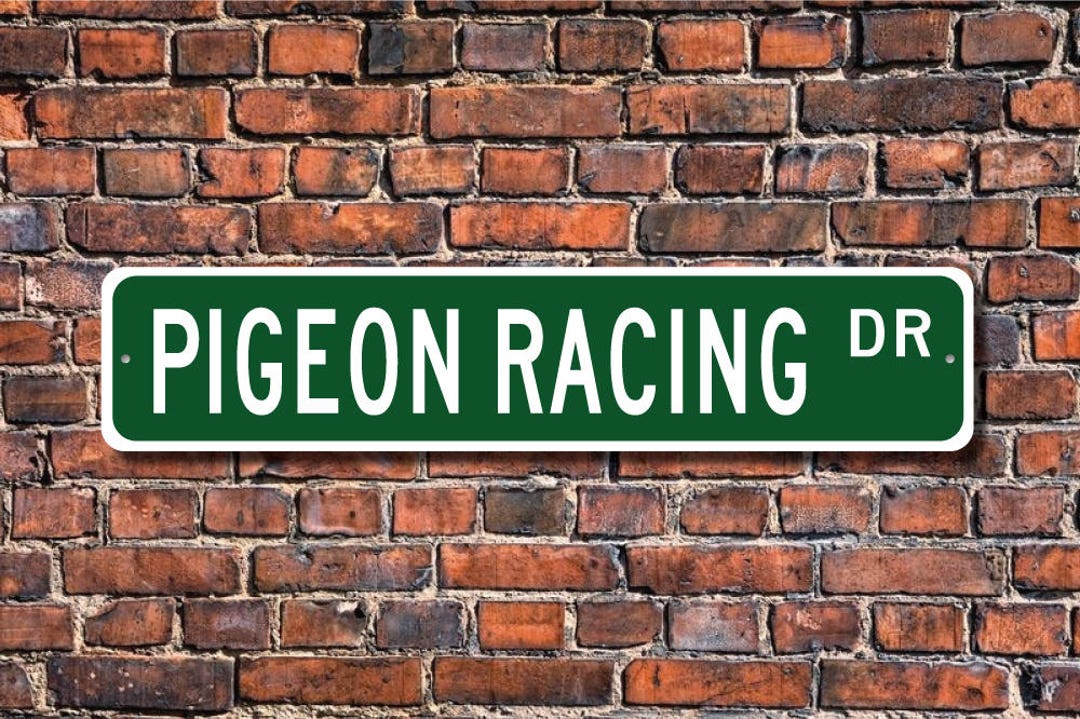 Pigeon Racing, Pigeon Racing Sign, Pigeon Racing Fan, Pigeon Racing ...