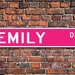 Emily Emily Sign Emily Lover Emily Gift Child Gift | Etsy