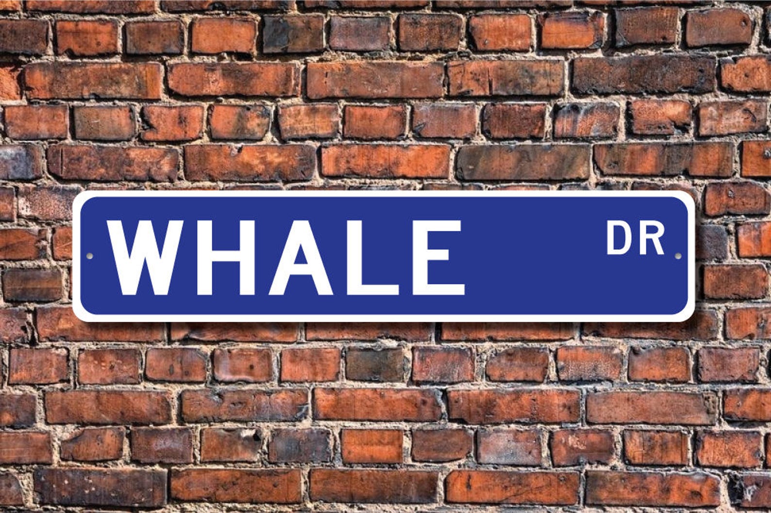 Whale Whale Gift Whale Sign Whale Decor Whale - Etsy