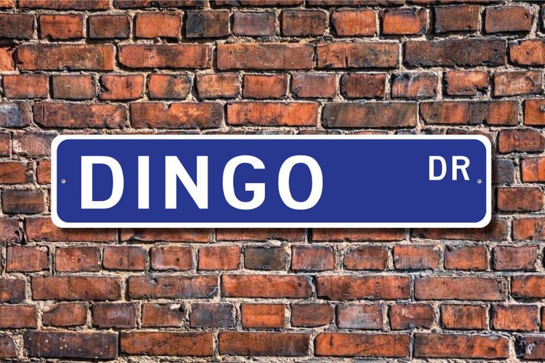Dingo, Dingo Gift, Dingo Sign, Dingo Decor, Dingo Expert, Wild Animal ...