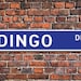 Dingo, Dingo Gift, Dingo Sign, Dingo Decor, Dingo Expert, Wild Animal ...