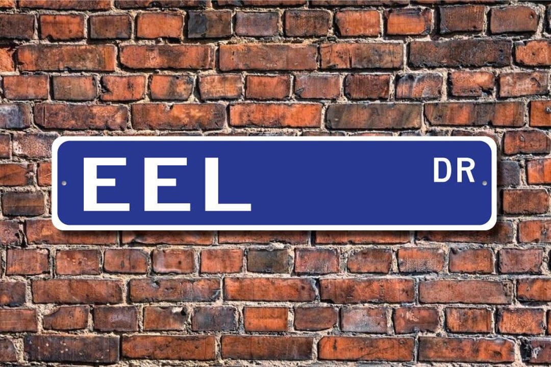 Eel, Eel Gift, Eel Sign, Eel Decor, Eel Expert, Eel Study, Water ...