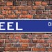Eel, Eel Gift, Eel Sign, Eel Decor, Eel Expert, Eel Study, Water ...