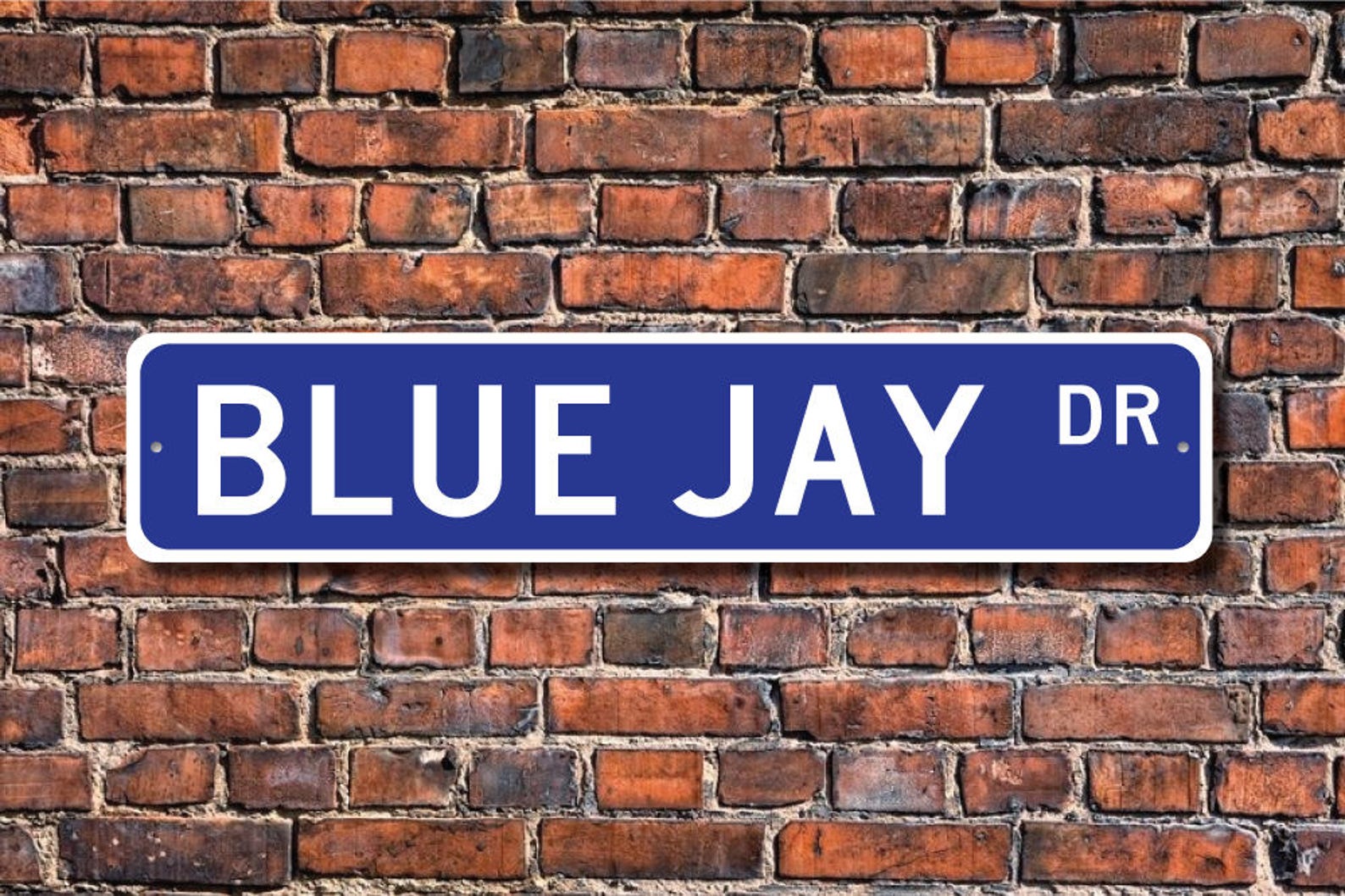 Blue Jay Blue Jay Gift Blue Jay Sign Blue Jay Decor Blue - Etsy