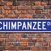 Chimpanzee, Chimpanzee Gift, Chimpanzee Sign, Chimpanzee Decor ...