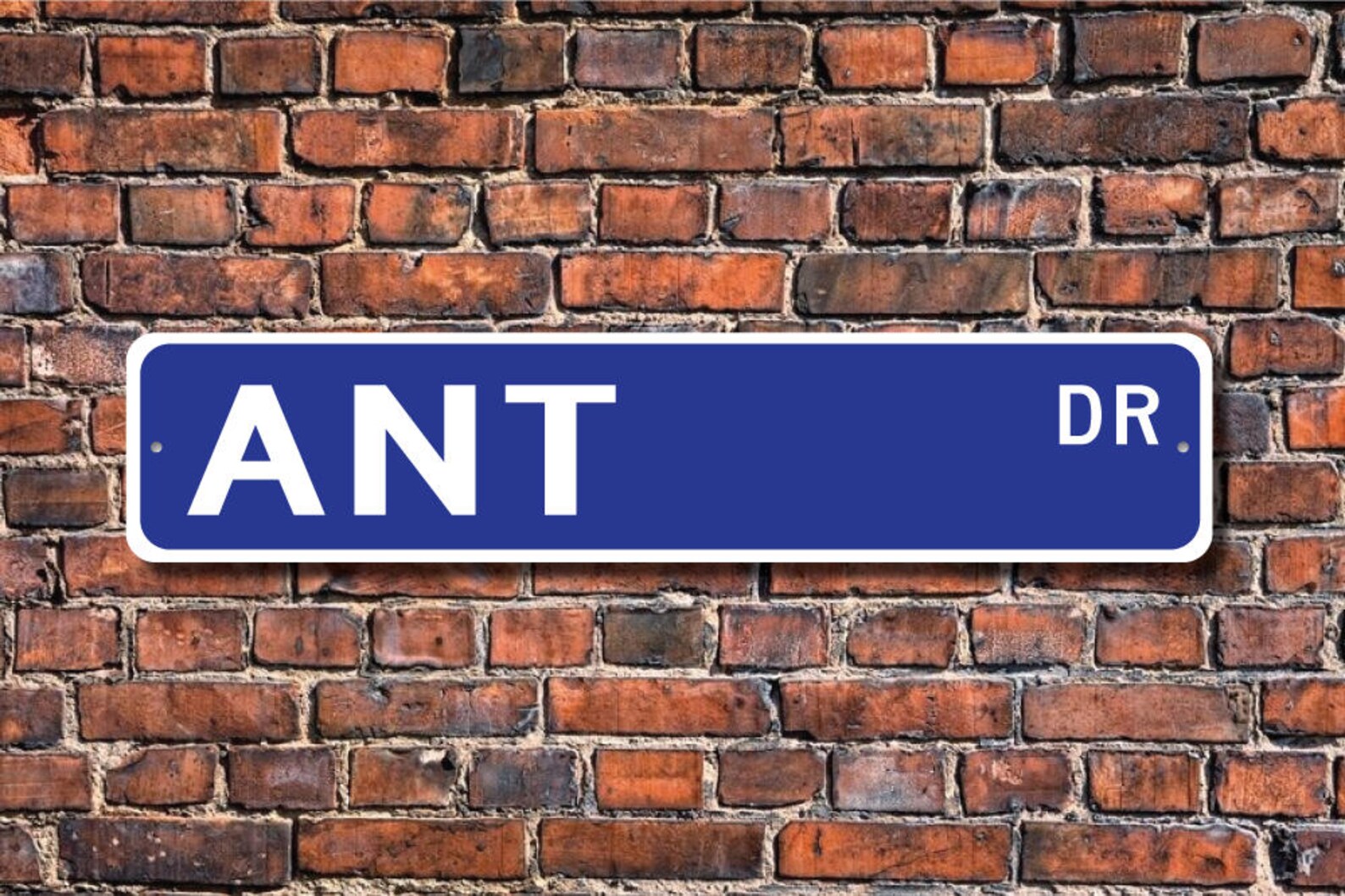 Ant Ant Gift Ant Sign Ant Colonies Picnic Pests Home - Etsy