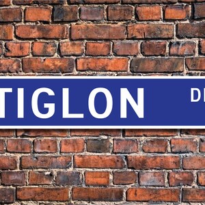 Tiglon, Tiglon Gift, Tiglon Sign, Tiglon Decor, Tiglon Lover, Crossbred ...