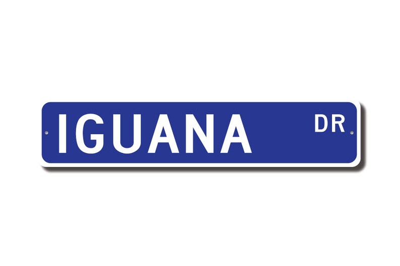 Iguana Iguana Gift Iguana Sign Iguana Decor Iguana Lover - Etsy