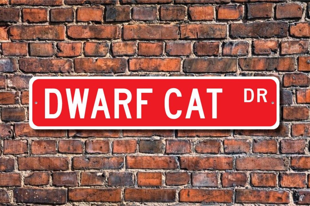 Dwarf Cat, Dwarf Cat Lover, Dwarf Cat Sign, Dwarf Cat Owner Gift, Dwarf ...