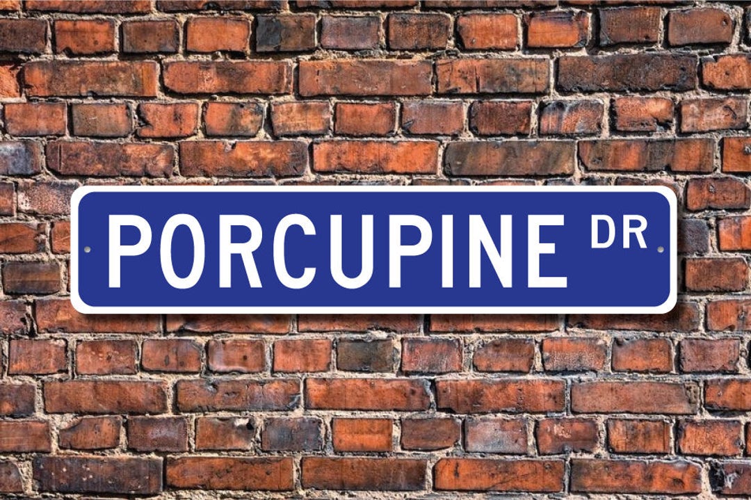 Porcupine Porcupine Gift Porcupine Sign Porcupine Decor - Etsy