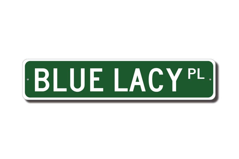 Blue Lacy Blue Lacy Gift Blue Lacy Sign Custom Street Sign - Etsy