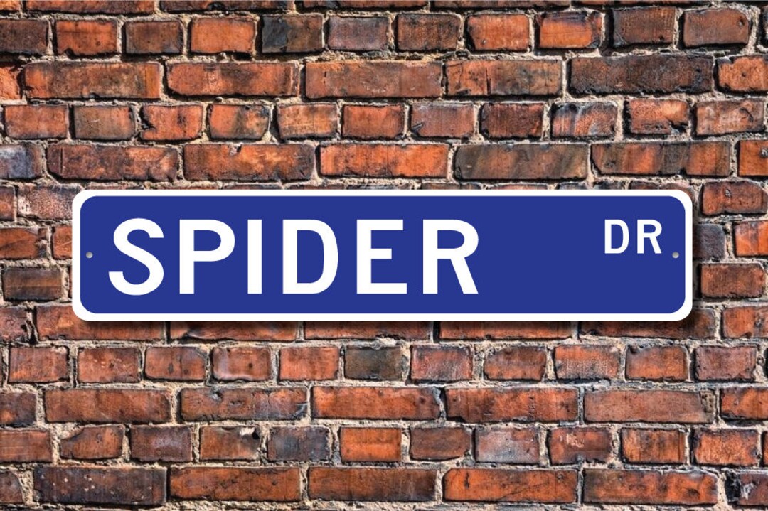 Spider, Spider Gift, Spider Sign, Spider Decor, Spider Lover, Eight ...