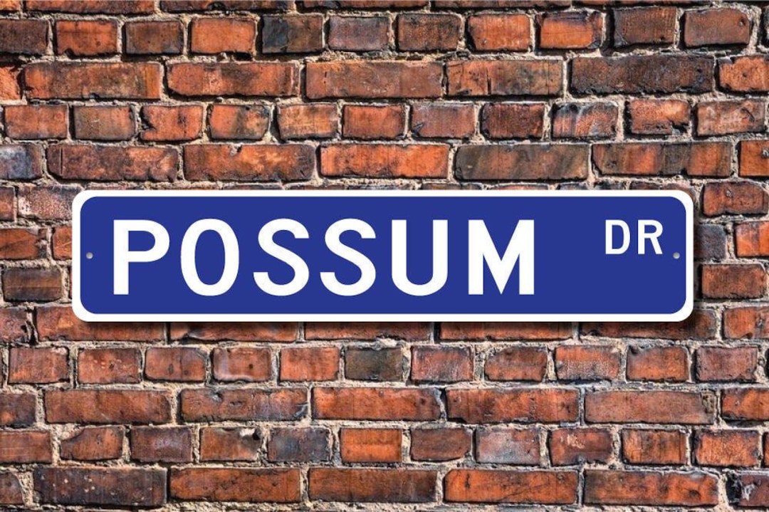 Possum, Possum Gift, Possum Sign, Possum Decor, Possum Lover, Opossum ...