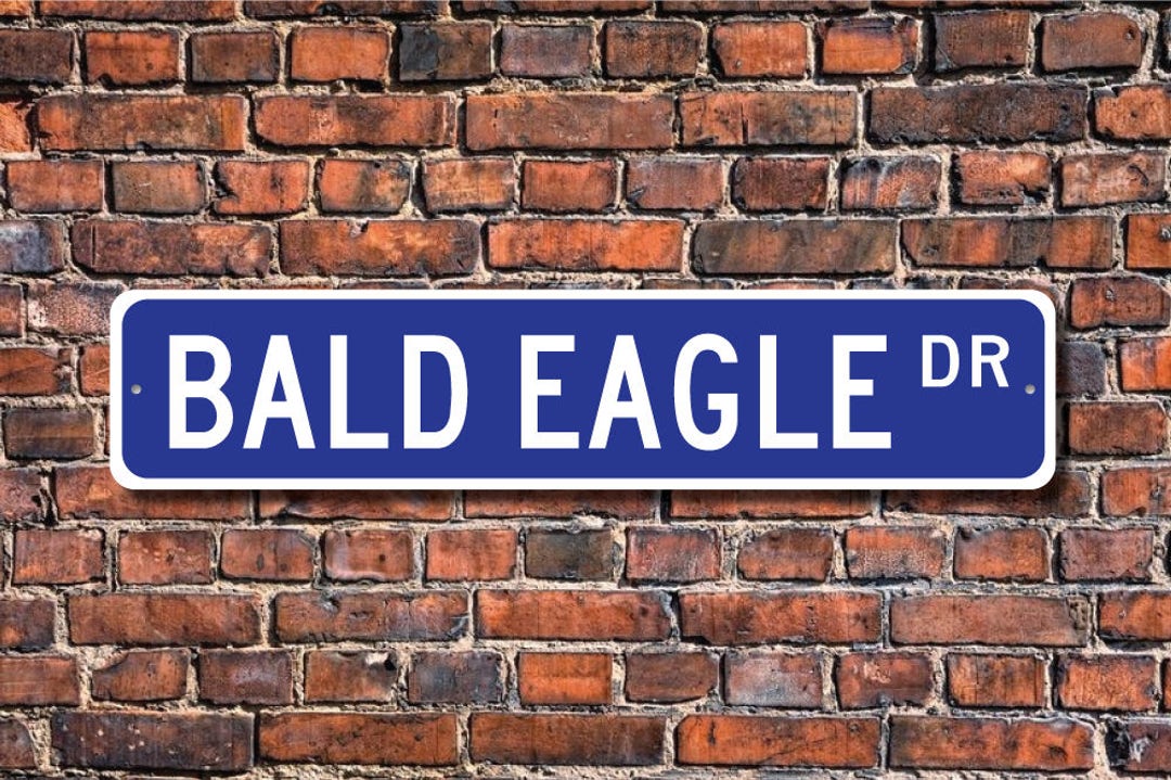 Bald Eagle, Bald Eagle Gift, Bald Eagle Sign, Bald Eagle Decor, Bald ...