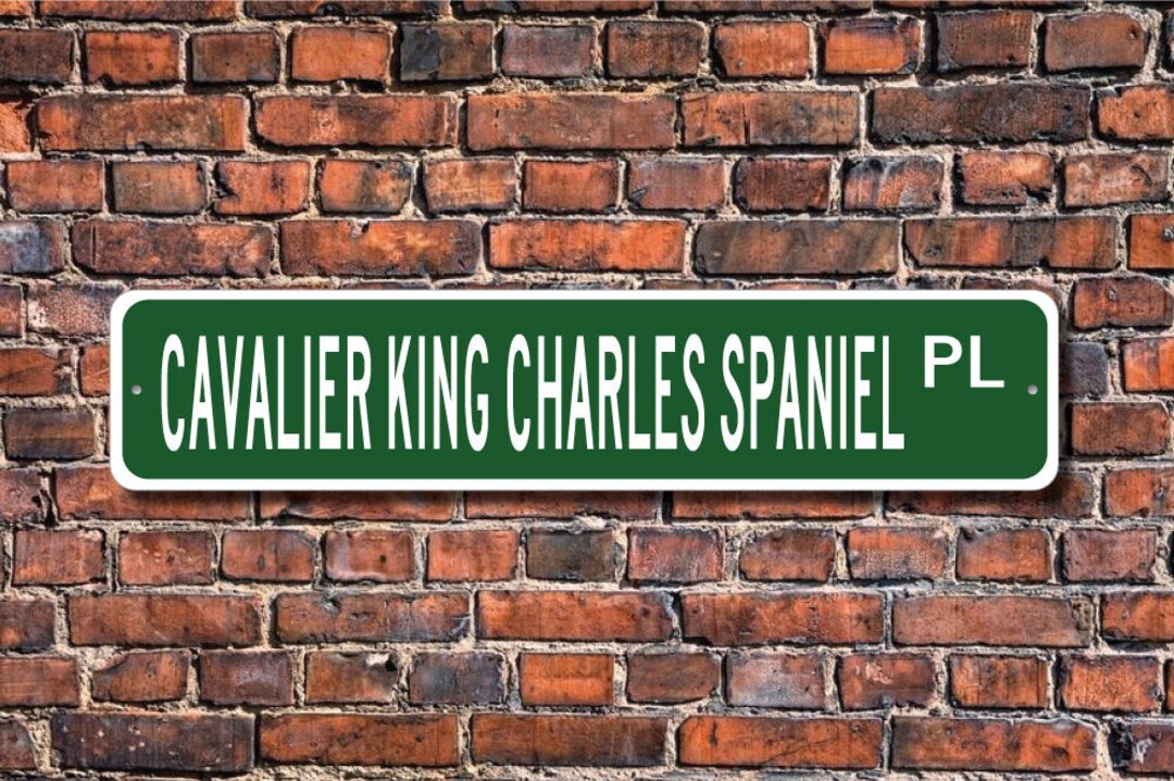 Cavalier King Charles Spaniel, Cavalier King Charles Spaniel Gift ...