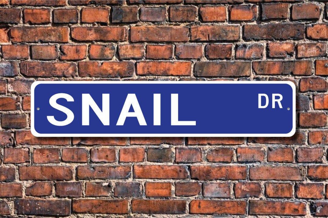 Snail, Snail Gift, Snail Sign, Snail Decor, Snail Lover, Shelled ...