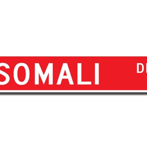 Somali, Somali Sign, Somali Owner, Somali Gift, Somali Cat Decor ...