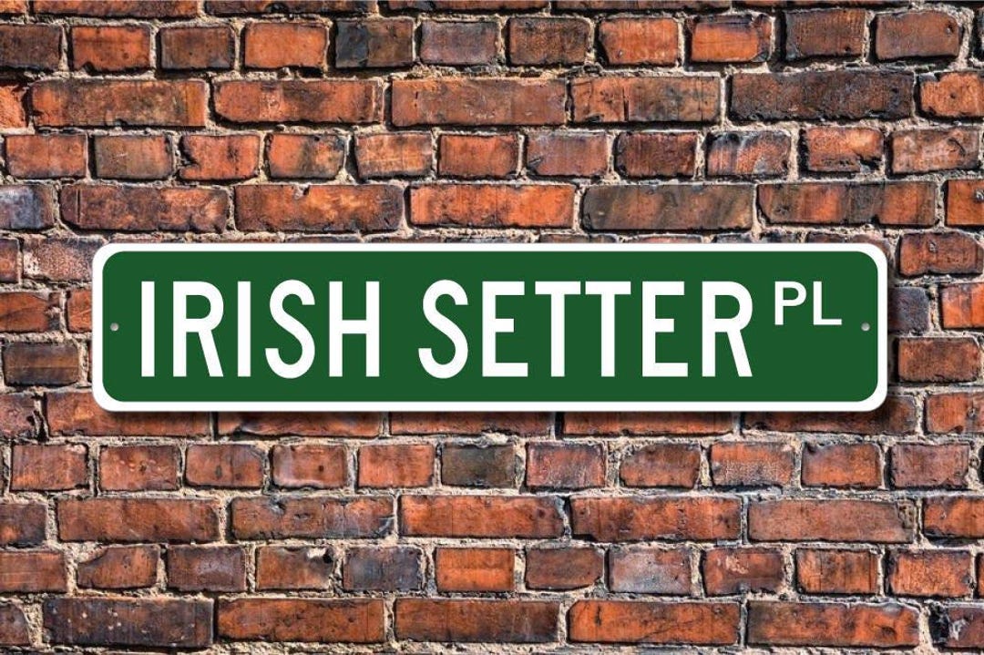Irish Setter, Irish Setter Lover, Irish Setter Sign, Custom Street Sign ...
