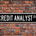 Credit Analyst, Credit Analyst Gift, Credit Analyst Sign, Sign for ...