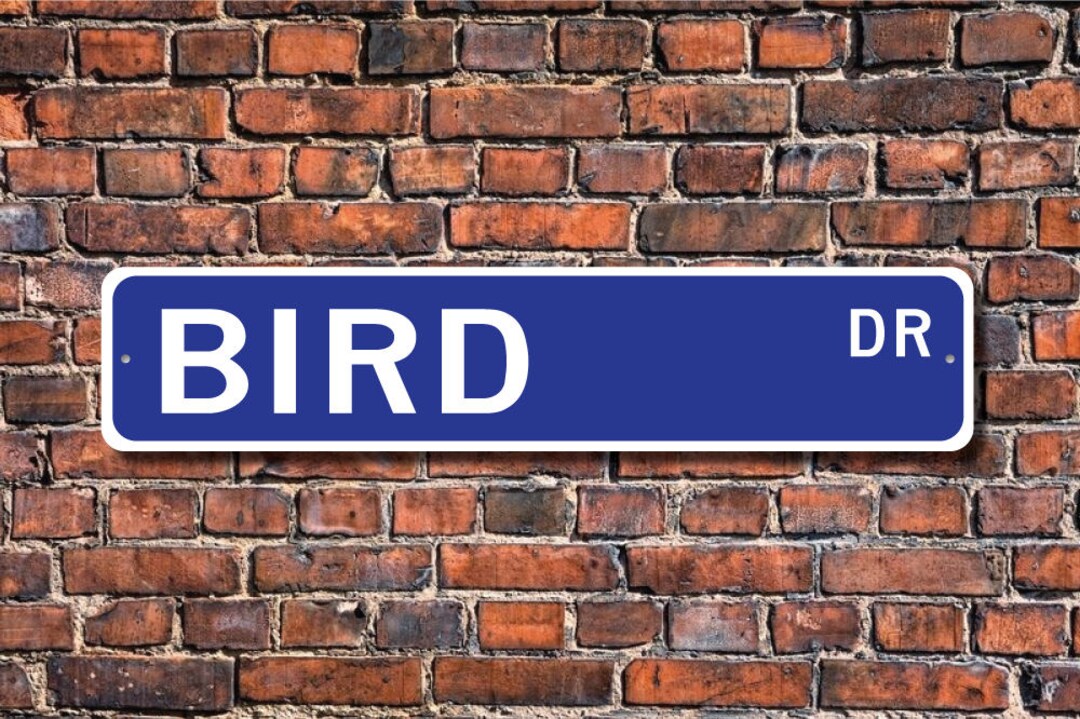 Bird, Bird Gift, Bird Sign, Bird Decor, Bird Lover, Bird Expert, Aviary ...