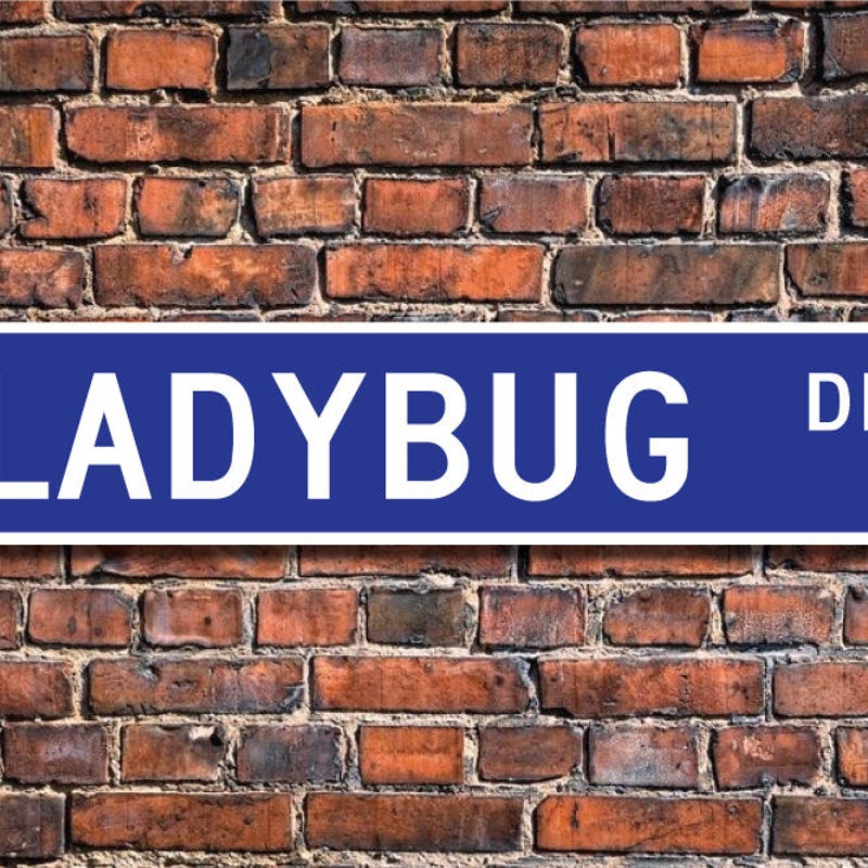 Ladybug Gifts - 60+ Gift Ideas for 2024